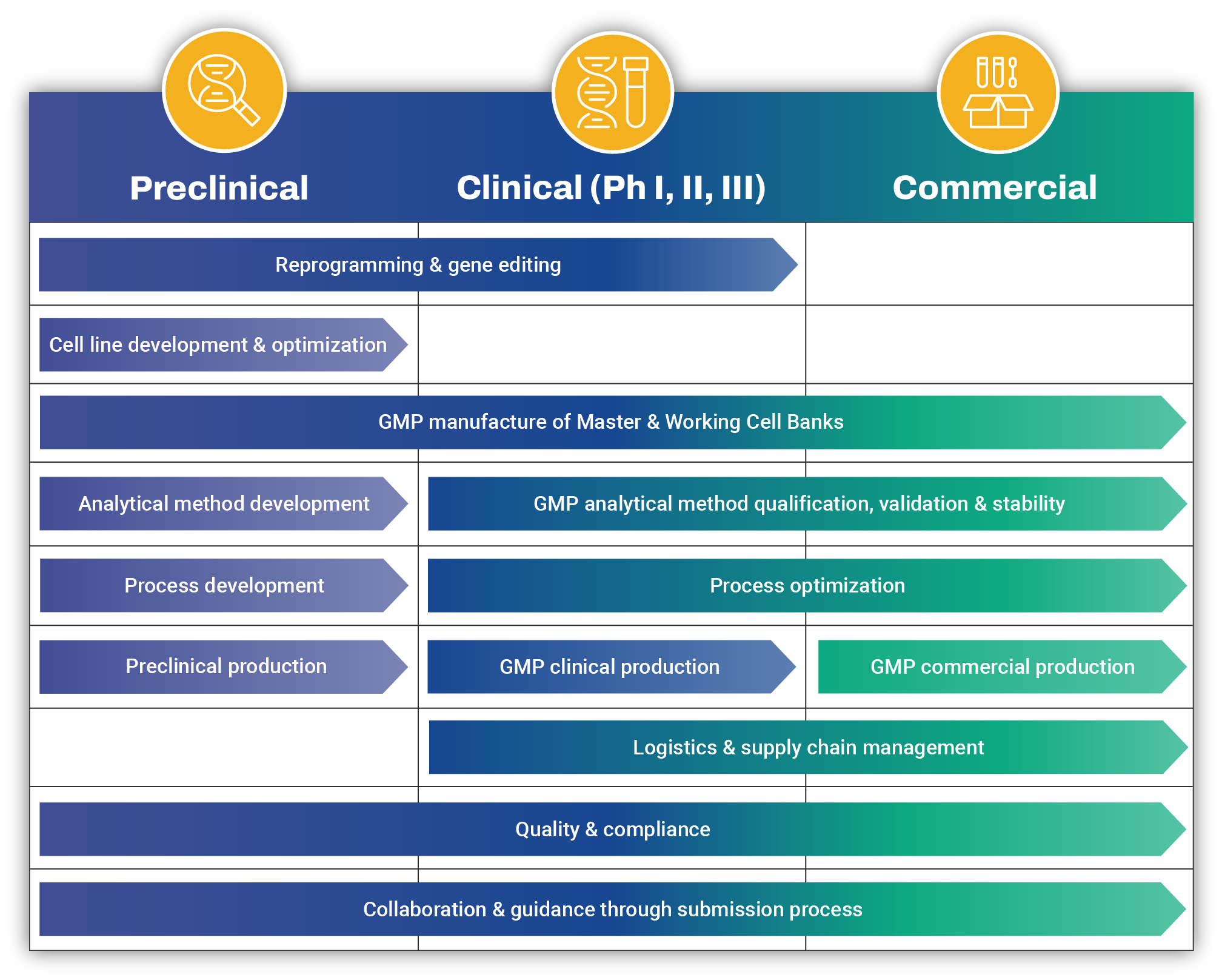 Cell Therapy CDMO Services | OmniaBio