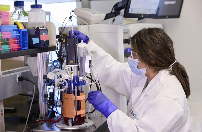 Cell Therapy Process Development Services | OmniaBio
